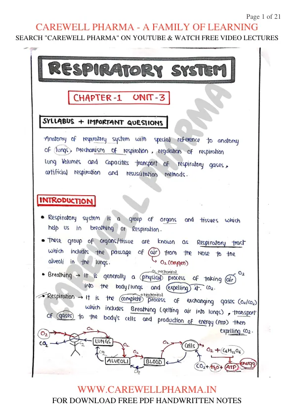 Unit 3 - Human Anatomy And Physiology 2 - 2nd Semester - B Pharmacy ...